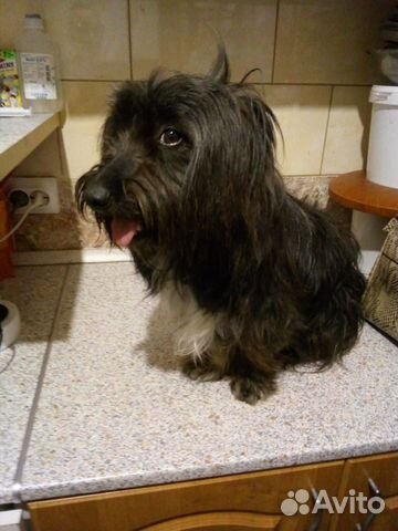 Крошка Кляксик 1 год 30 см