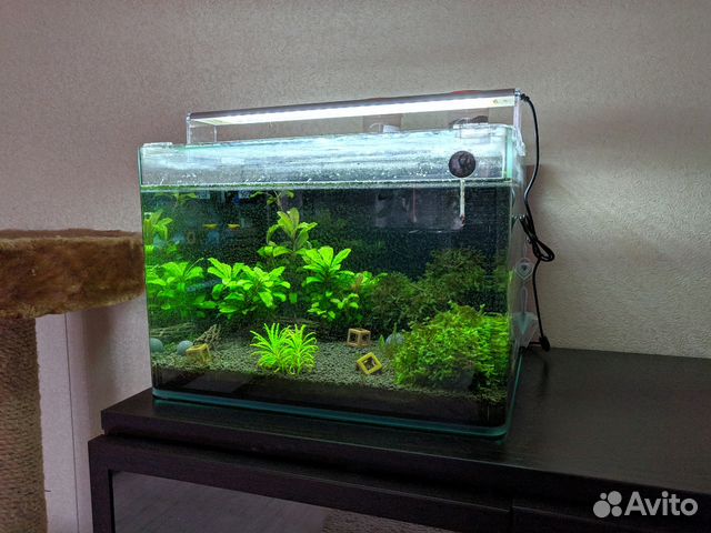 Dennerle 30l