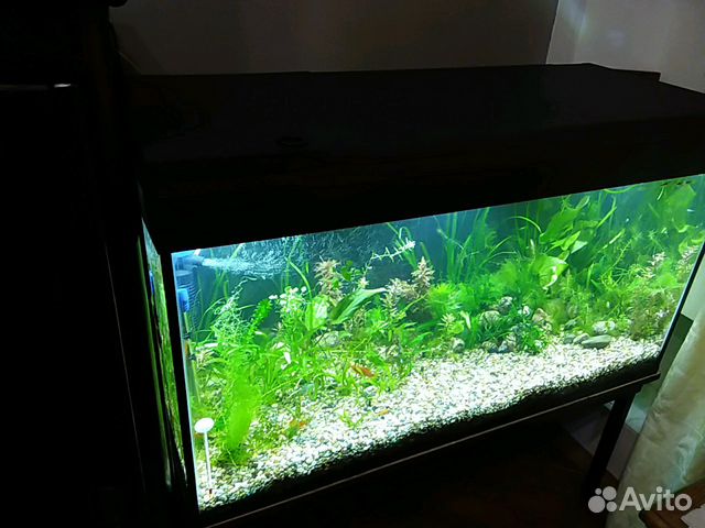Аквариум 200л комплект