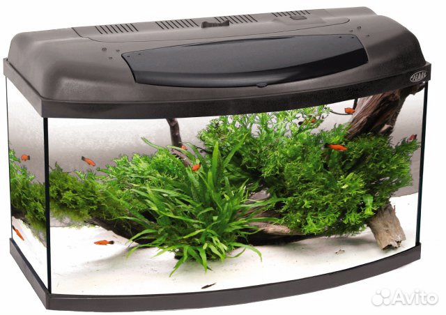 Новый аквариум Aquael 80 Pearl 102л весь комплект