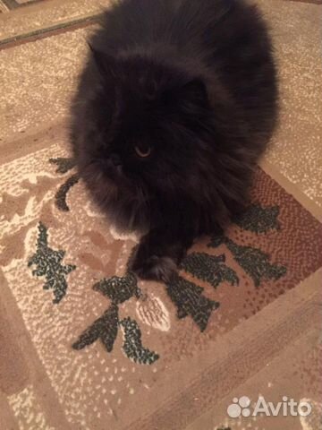 Английский перс