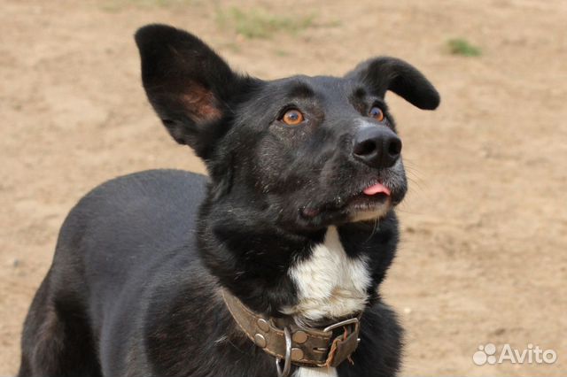 Лучший Ваш подарочек, это я