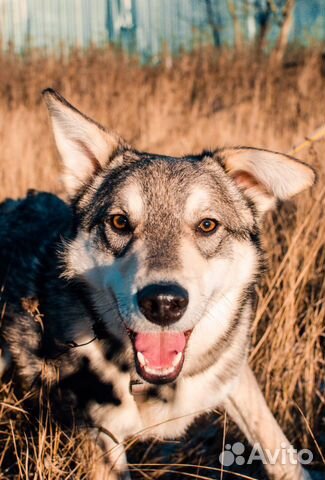 Скай - солнце снаружи