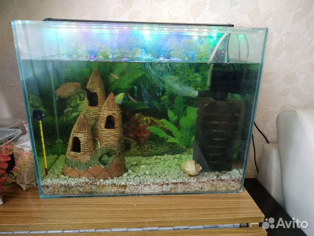 Продам аквариум вместе с рыбами