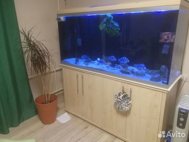 Аквариум 660 литров