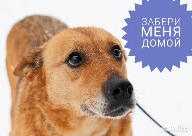 Добрая Девочка Юля в Дар