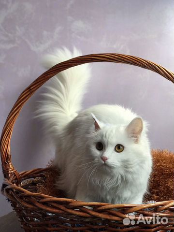 Украшение дома в хорошие руки