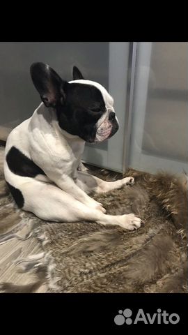 Француженка ищет жениха