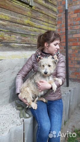 Фунтик ищет дом