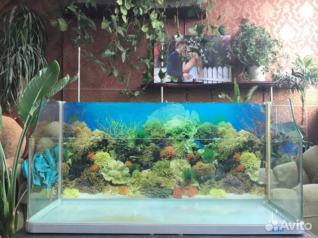 Аквариум терариум