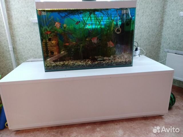 Аквариум