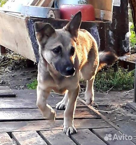 Мальчик Амиго