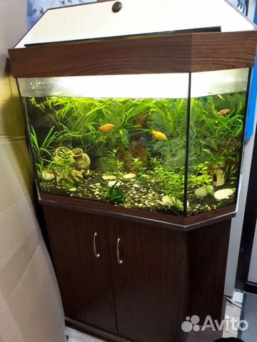 Аквариум