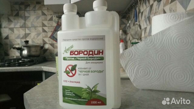 Антибородин