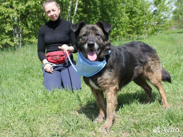 Старушка Баллин в добрые руки