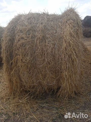 Солома Ечменка в рулонах