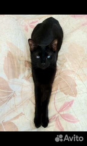 У Маняшечки нет дома