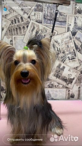 Вязка мальчик