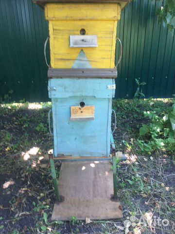 Улей с пчелами