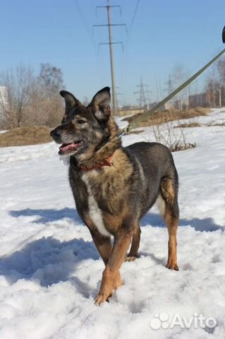 Блюз, у которого сгнили все зубы