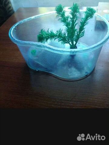 Аквариум лля черепах маленьких