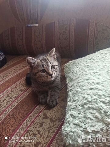 Британская