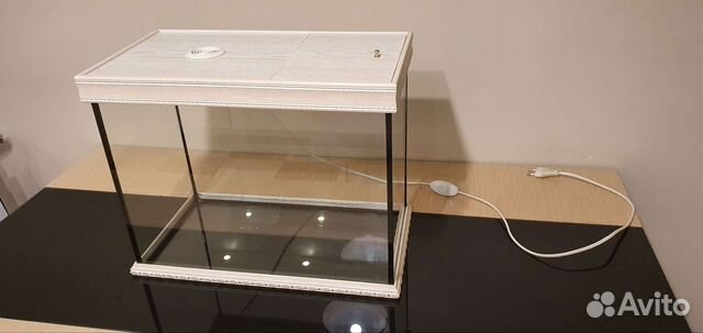 Аквариумные рыбки