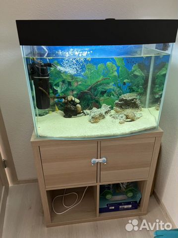 Аквариум