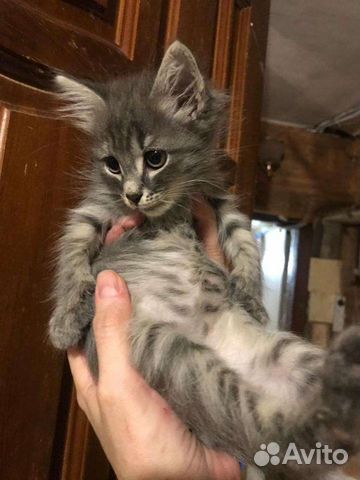 Сладкие детки