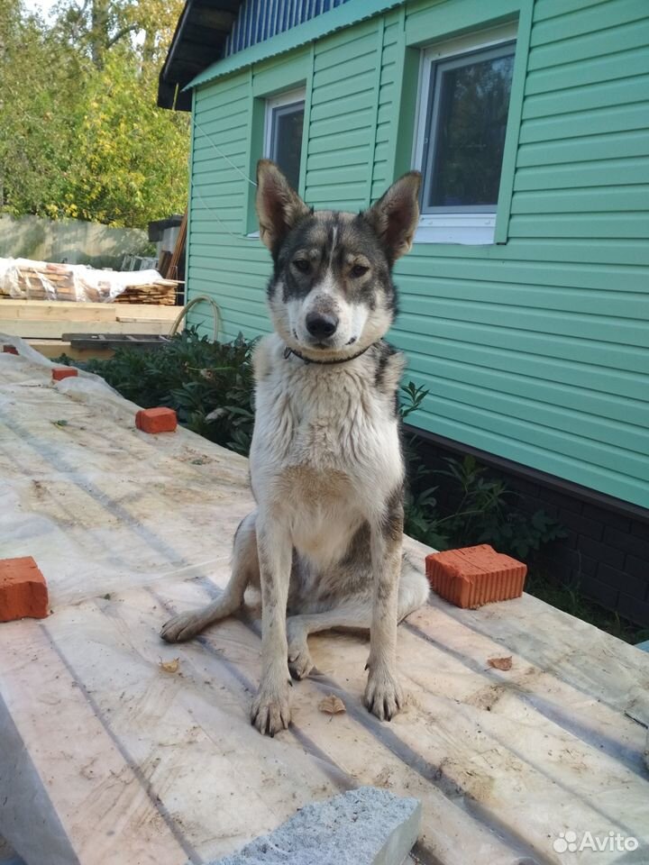 Анфиса ждет доброго человека