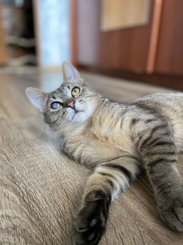 Самый послушный малыш